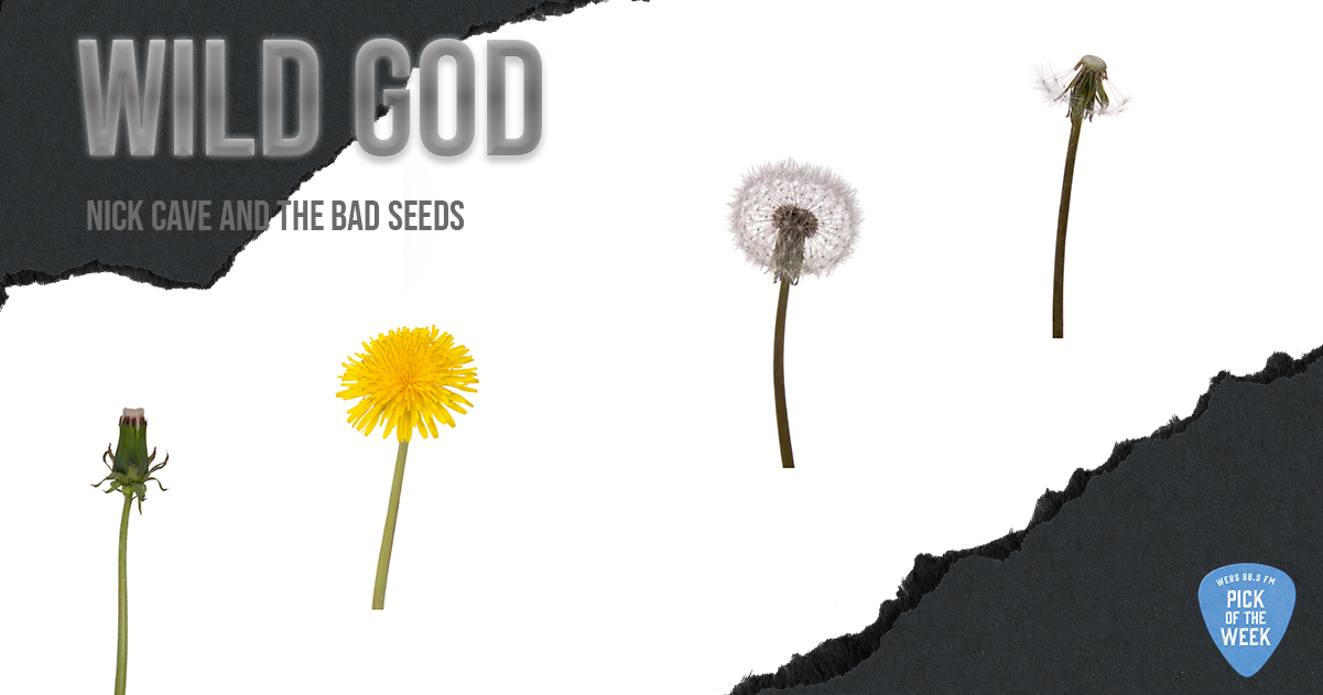Pick of the Week: Nick Cave & The Bad Seeds "Wild God" | WERS